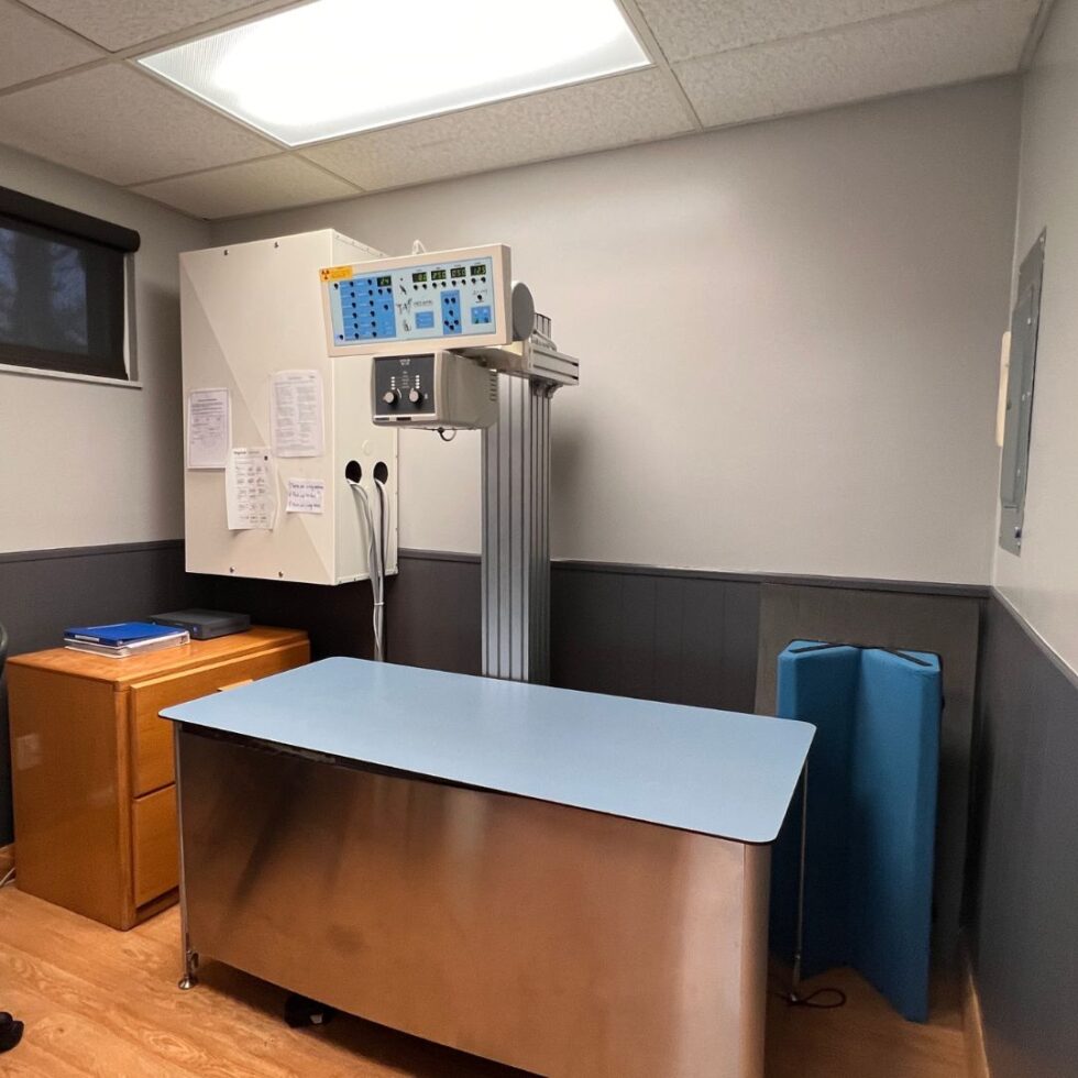 Best Vet Hospital In Grove City OH | Grove City Vet Hospital