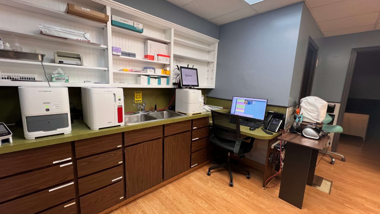 Best Vet Hospital In Grove City OH | Grove City Vet Hospital