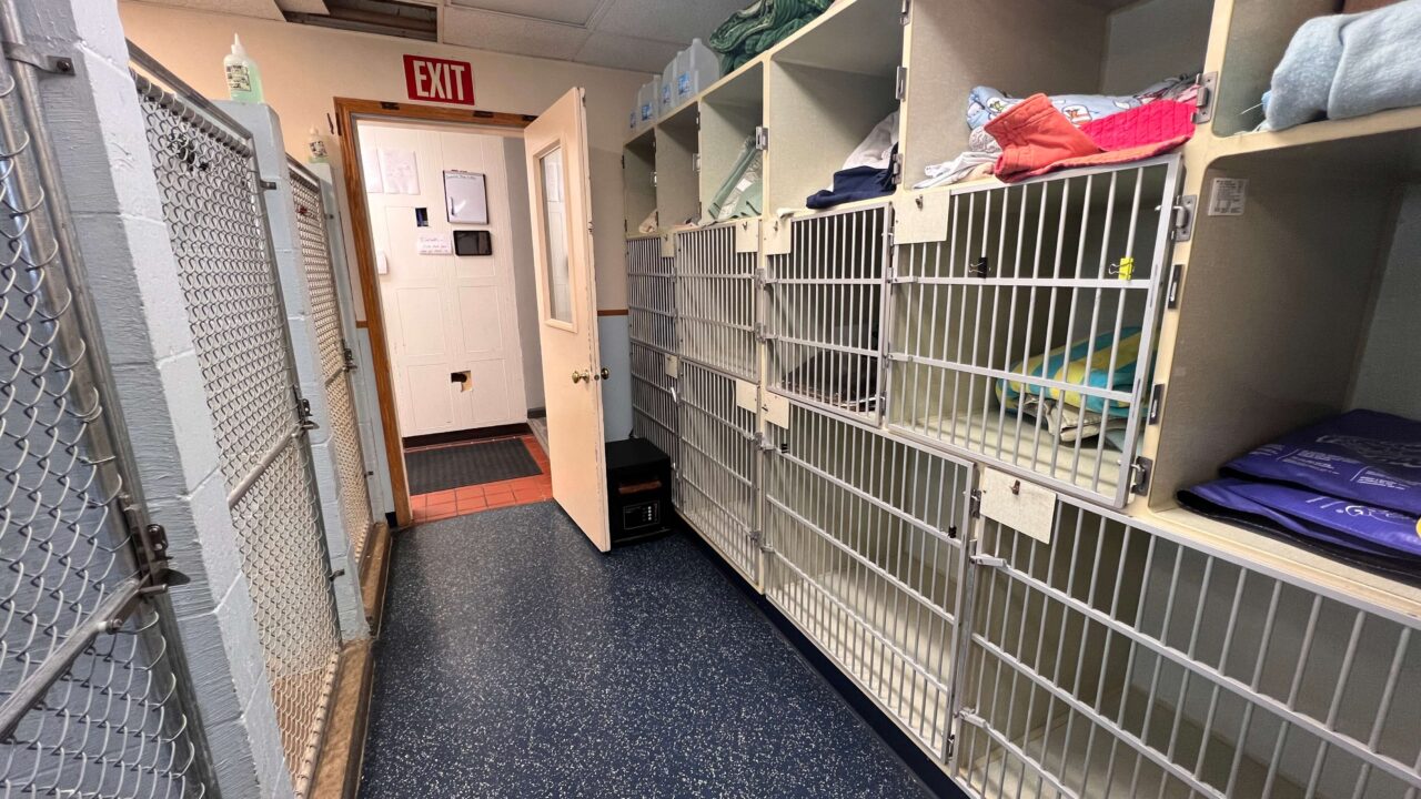 Best Vet Hospital In Grove City OH | Grove City Vet Hospital